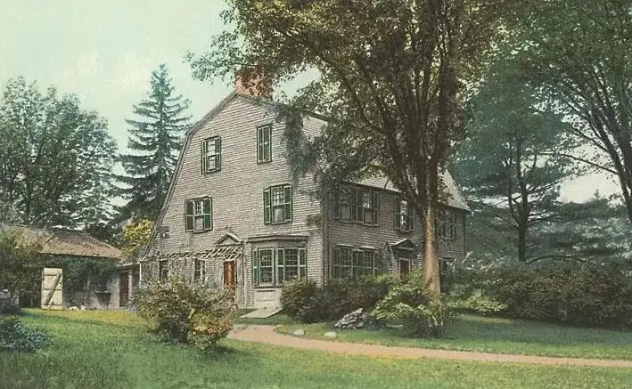 Homestead > Shop All – Wren Supply Co.